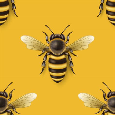 10 Bopper Background Stock Illustrations Royalty Free Vector Graphics