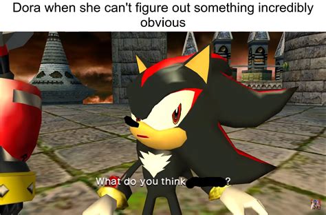 Making A Meme Out Of One Line From Sonic Heroes Each Day Until I
