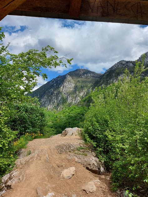 루마니아 Herculane Ciorici 선택 시시 Pixabay의 무료 사진 Pixabay