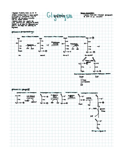 Glycolysis For Idiots Lehninger Principles Of Biochemistry