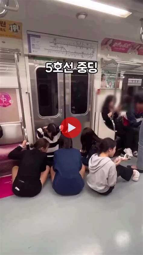 5호선 중딩들 유머 움짤 이슈 에펨코리아