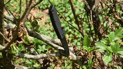 Understanding California Knife Laws Can A Minor Carry A Pocket Knife