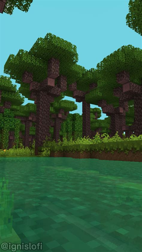 With Or Without Shader Rminecraft