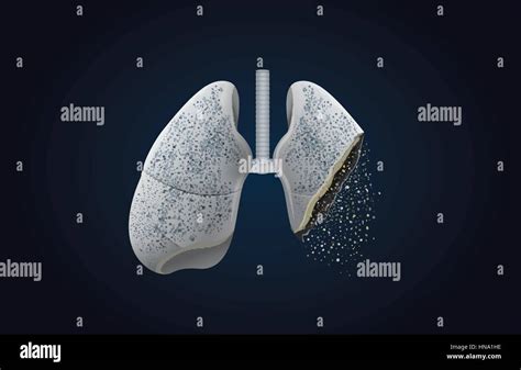 The Gray Lung Transform Into Ashes This Illustration About Effect Of
