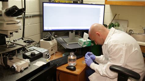 Video Applications Of Spatio Temporal Mapping And Particle Analysis Techniques To Quantify