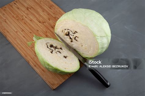 양배추 머리 안에 검은 곰팡이가 있습니다 부엌 칼은 도마에 흰 양배추를 자릅니다 썩은 야채 유통 기한이 지난 식품 개념 야채의 부적절한 보관 검은색에 대한 스톡 사진 및