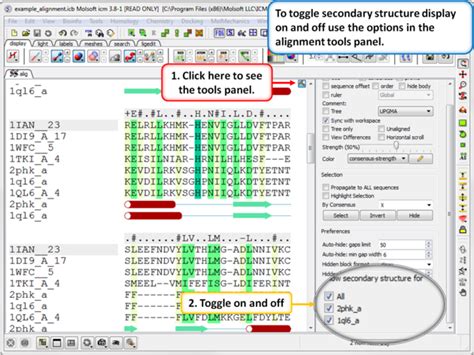 icm user s guide alignment editor