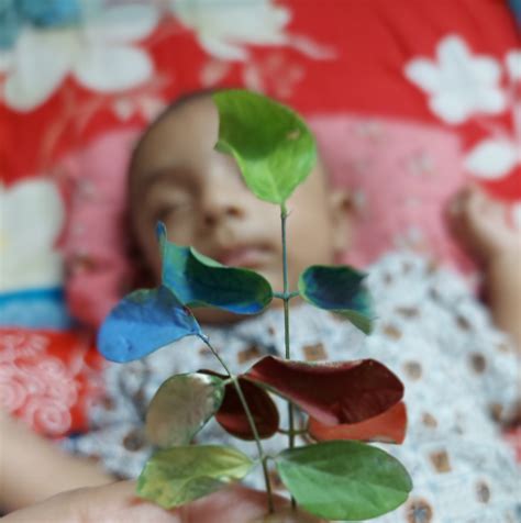 Rishans Heaven Dhaka