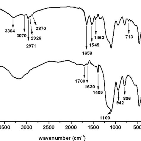 FT IR Spectra A MPS SiO 2 Nanoparticles And B SiO 2 Download Scientific Diagram