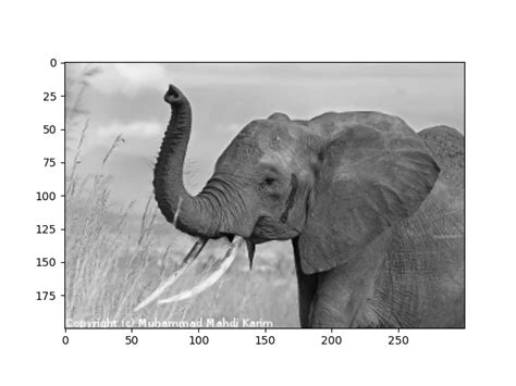 Reading And Writing An Elephant — Scientific Python Lectures