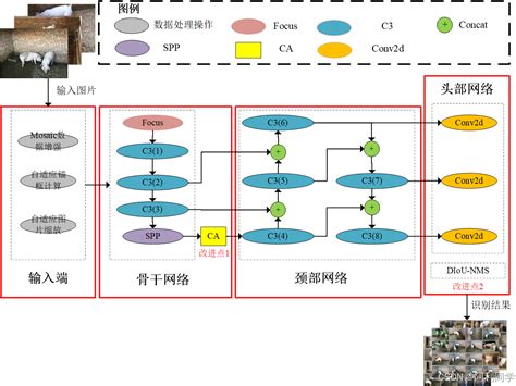 改进YOLO的群养猪行为识别算法研究及部署小程序 网站平台 pyqt 群养猪识别算法改进及部署 CSDN博客