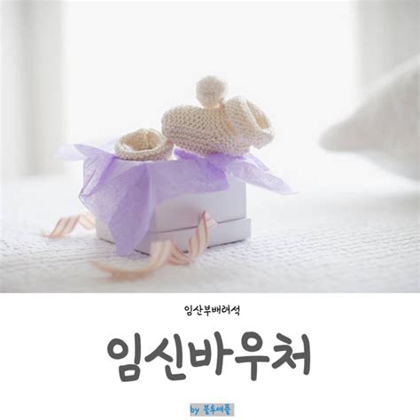 임산부혜택 임산부지원 및 임신바우처 사용처 네이버 블로그
