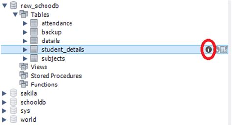 Mysql Describe Statement