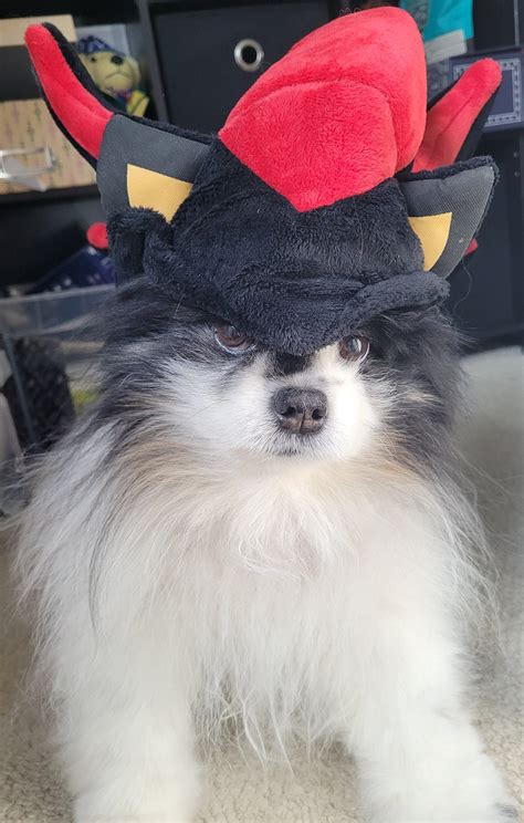 Bawkbasoup 🐔 On Twitter Runebee Hes Moved From The Tie Hes Never Gonna Take That Hat Off