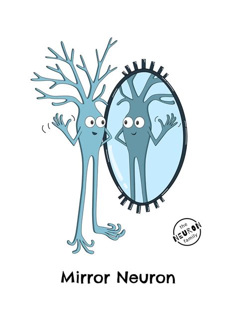 How To Use Mirror Neurons At Harrison Fitch Blog