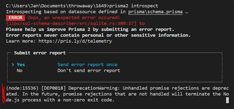 introspect unhandled promise and duplicated output on error · issue