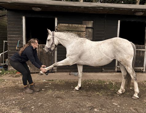 Routine Assessment And Treatment