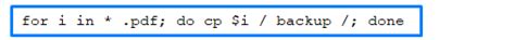 Bash For Loop In One Line DiskInternals