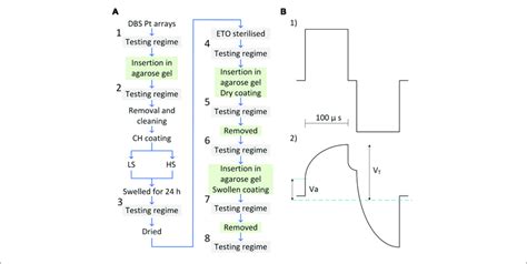 A Flow Chart Of Tests And Treatment Performed On Dbs Arrays Four