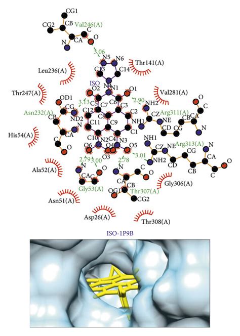 Binding Complex And Interaction Visualization Between Adenylosuccinate