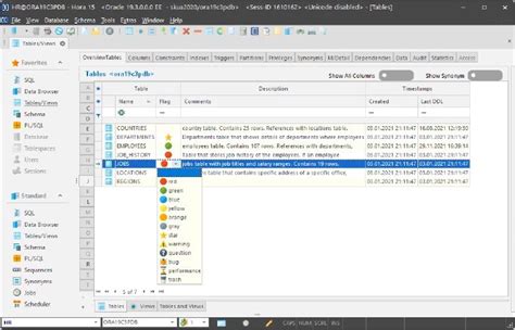 Flag Your Oracle Database Objects Oracle Database Sql Query Builder
