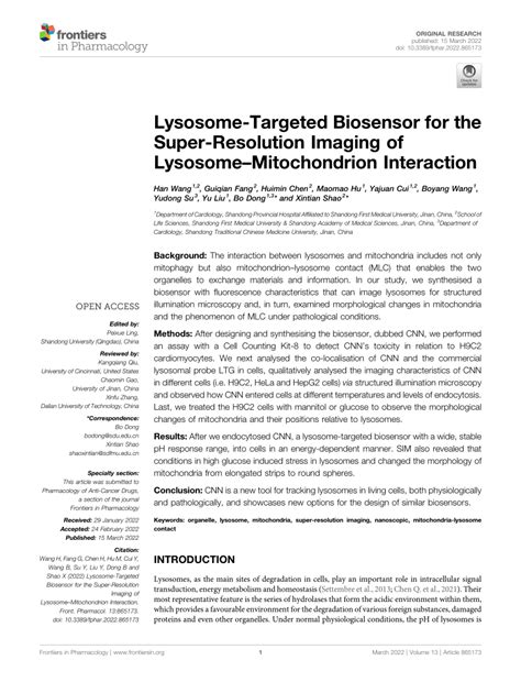 Pdf Lysosome Targeted Biosensor For The Super Resolution Imaging Of Lysosome Mitochondrion