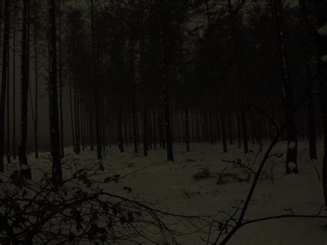 Боярський ліс в тумані вночі Мрачные места Пейзажи Таинственные места