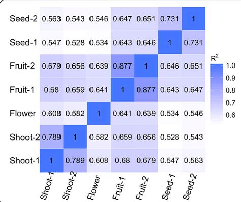 Correlation Of Expression Patterns Among The Seven RNA Seq Libraries Download Scientific