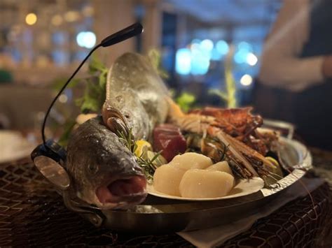 Fiola Mare Updated September 2024 3399 Photos And 1512 Reviews 3050