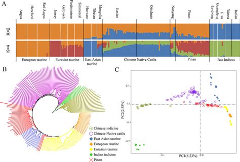 Population Structure Of Pinan Cattle And Its Relationship With Several