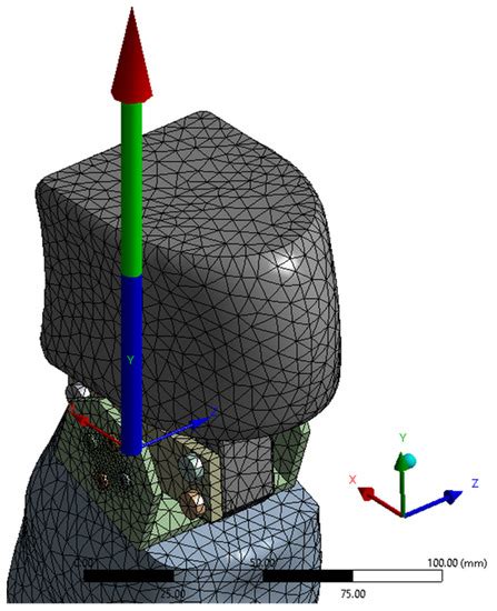 Biomimetics Special Issue Bio Inspired And Biomimetic Intelligence