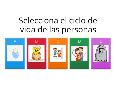 Ciclo Vital Del Ser Humano Quiz
