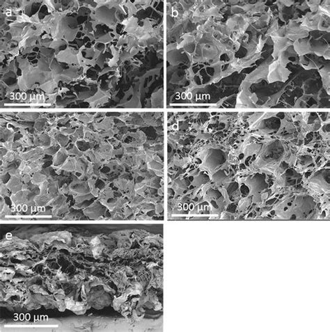 Sem Micrographs Showing The Cross Section Of A 0 B 3 61 C 7 69 D