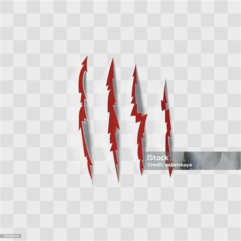 찢어진 표면에 발톱 피 묻은 스크래치 사실 벡터 일러스트 고립 분리에 대한 스톡 벡터 아트 및 기타 이미지 분리 흉터