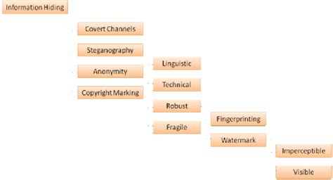 Classification Of Information Hiding Based On 1 Download Scientific