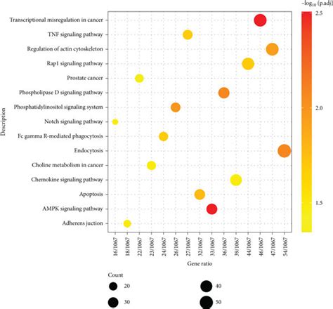 Overrepresentation Analysis Of Cfdna Derived Dmgs A Go Analysis With