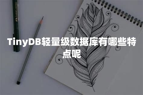 TinyDB轻量级数据库有哪些特点呢 PingCAP 平凯星辰