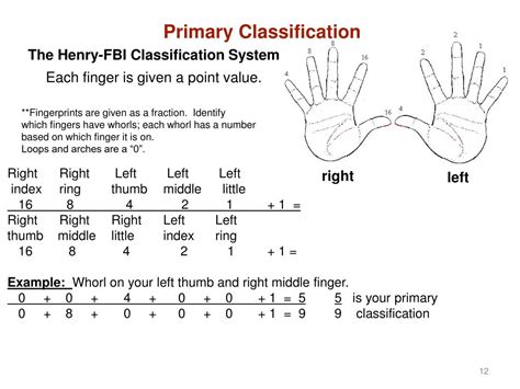 Ppt Chapter 4 Fingerprints Powerpoint Presentation Free Download Id 3930871