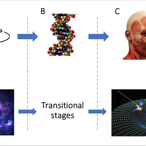 Scheme Of Atomic Structure A Molecule System B And Human Scheme Of Atomic Structure A Molecule System B And Human