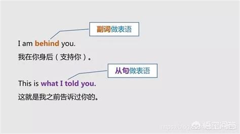 语法大全！20张图，彻底分清英语中的主、谓、宾、定、状、补 英语主谓宾定状补图解 Csdn博客