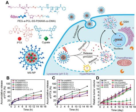 Stimuli‐responsive Nanoparticles For Controlled Drug Delivery In