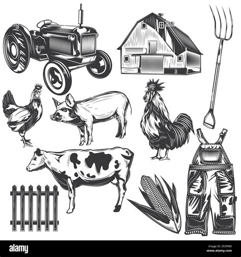 Set Of Farming Elements For Creating Your Own Badges Logos Labels Posters Etc Isolated On