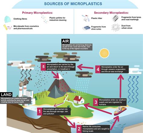 Microplastics Are Everywhere Decomag