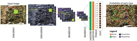 Frontiers Intelligent Fruit Yield Estimation For Orchards Using Deep Learning Based Semantic