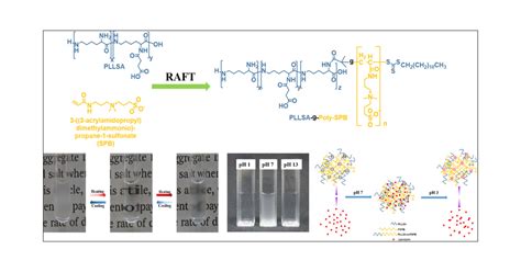Dual Thermo And Ph Responsive Behavior Of Double Zwitterionic Graft Copolymers For Suppression