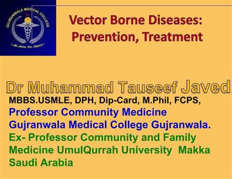 Vector Borne Diseases Pptx