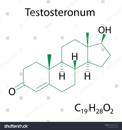 Testosterone Formula Chemical Structure Testoterone Schematic Stock