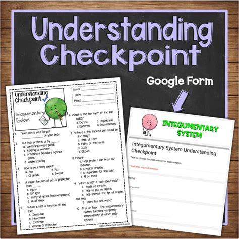 Integumentary System Doodle Notes And Quiz Skin Hair And Nails Visual Science
