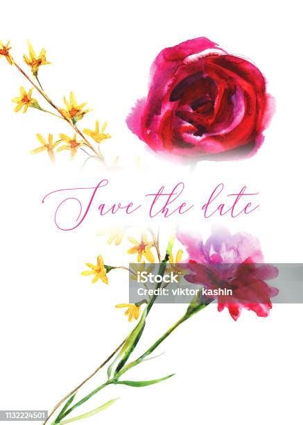 꽃 결혼식 초대장 날짜 발렌타인 데이 카드를 저장 합니다 수채화 손으로 그린 그림입니다 붉은 모란 카네이션 개나리 개나리에 대한 스톡 벡터 아트 및 기타 이미지 Istock