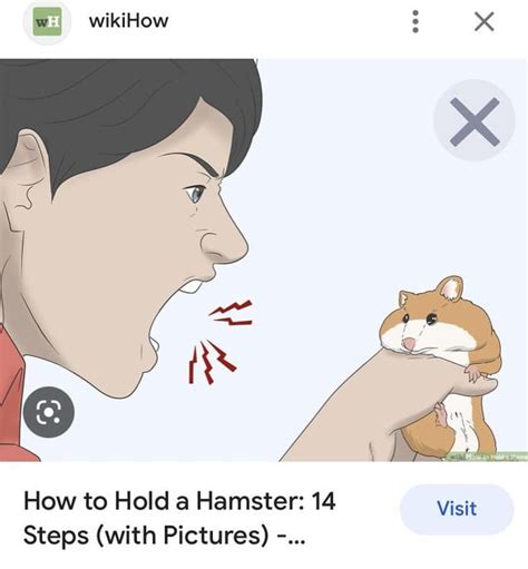 Ffxiv Memes On Twitter Rt Rabtoons How To Talk To Lalafell Ffxiv Ffxivmemes